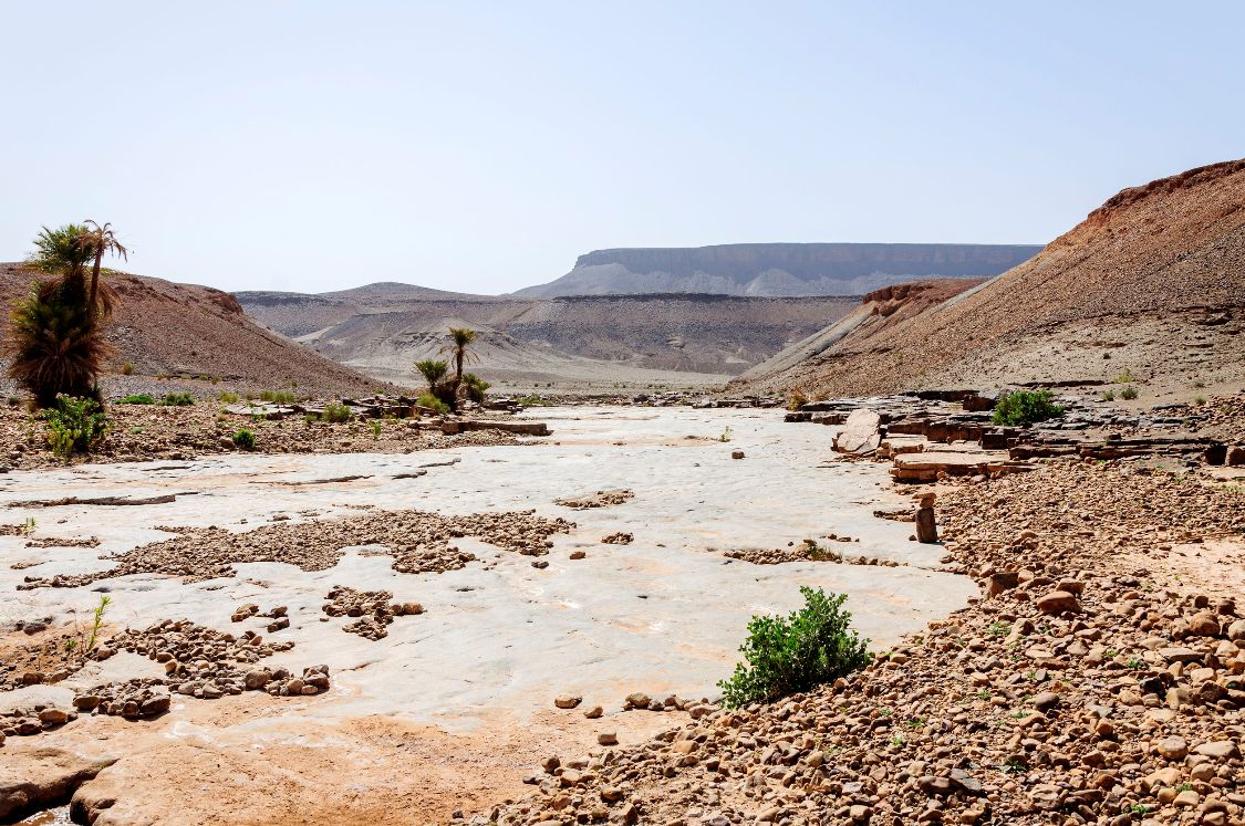 Trophées de l'adaptation au changement climatique en Méditerranée